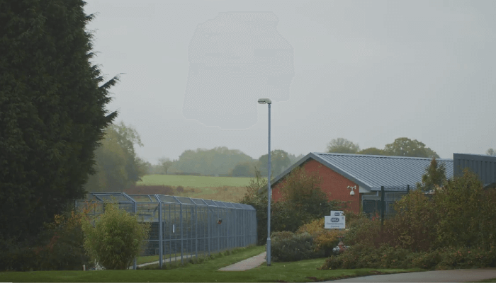 RSPCA | Non-Profit Success Story | Sage UK