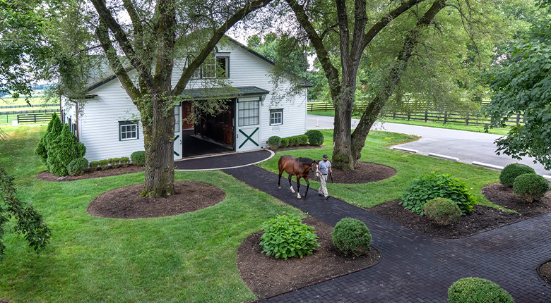 Spendthrift Farm |Intacct Success Story | Sage US