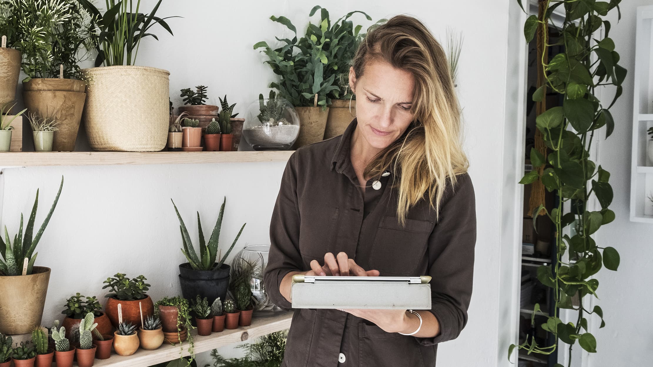 Advantages and disadvantages of using spreadsheets for your business ...